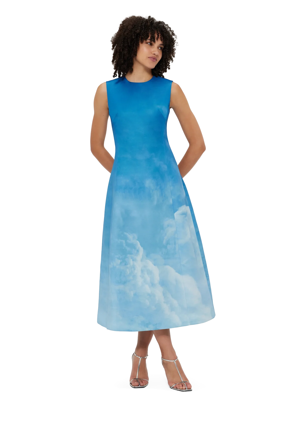 Cleo Sleeveless Midi Dress - Aerial Print – Mariko Boutique